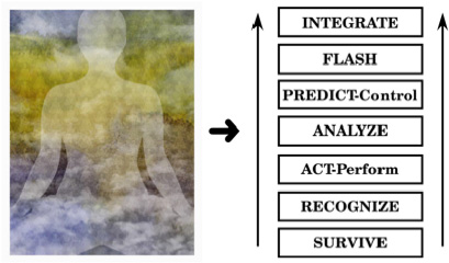 The Intelligent Response – Synergic Earth Network